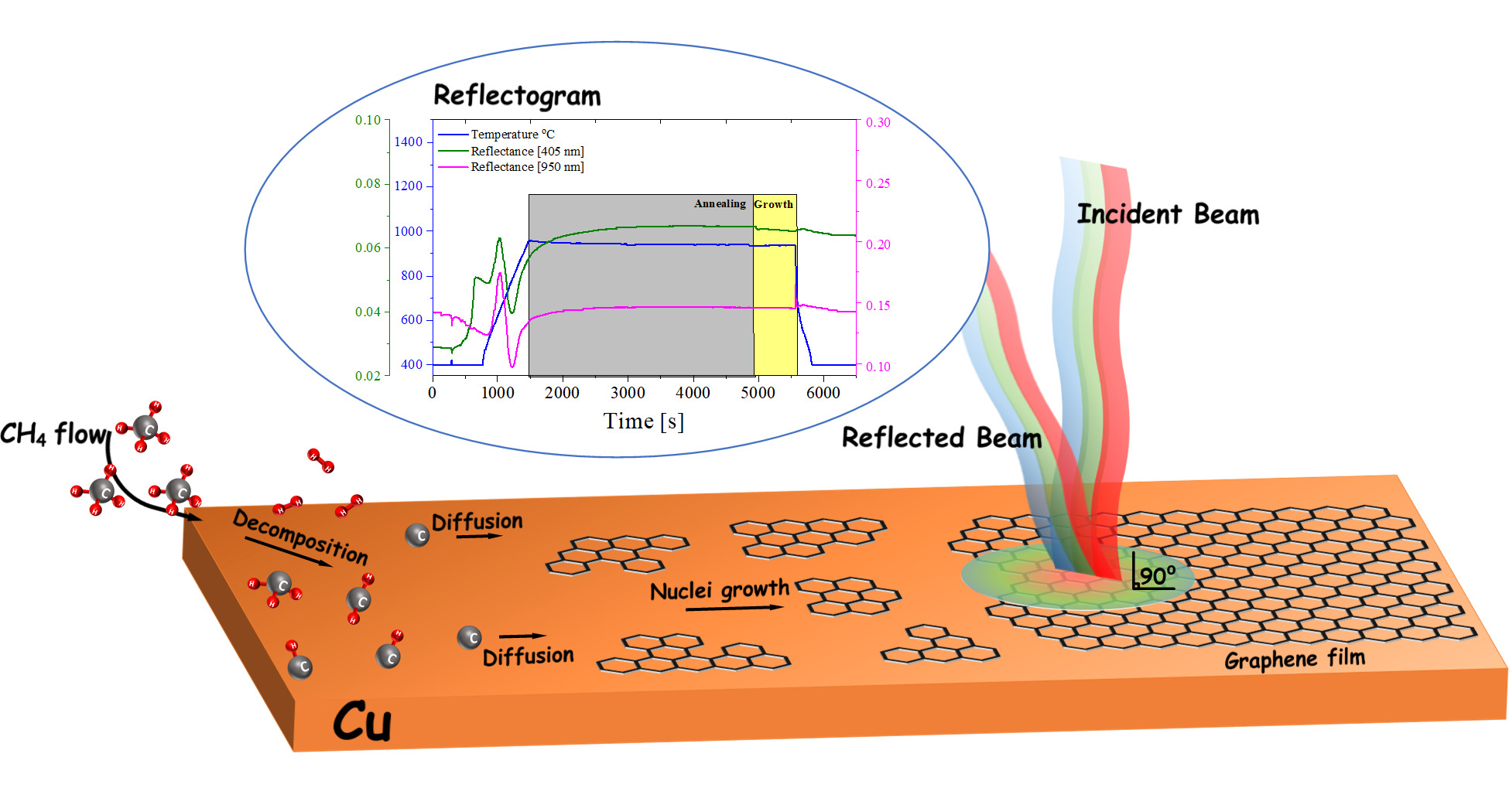 In situ kinetic studies of CVD graphene growth by reflection ...